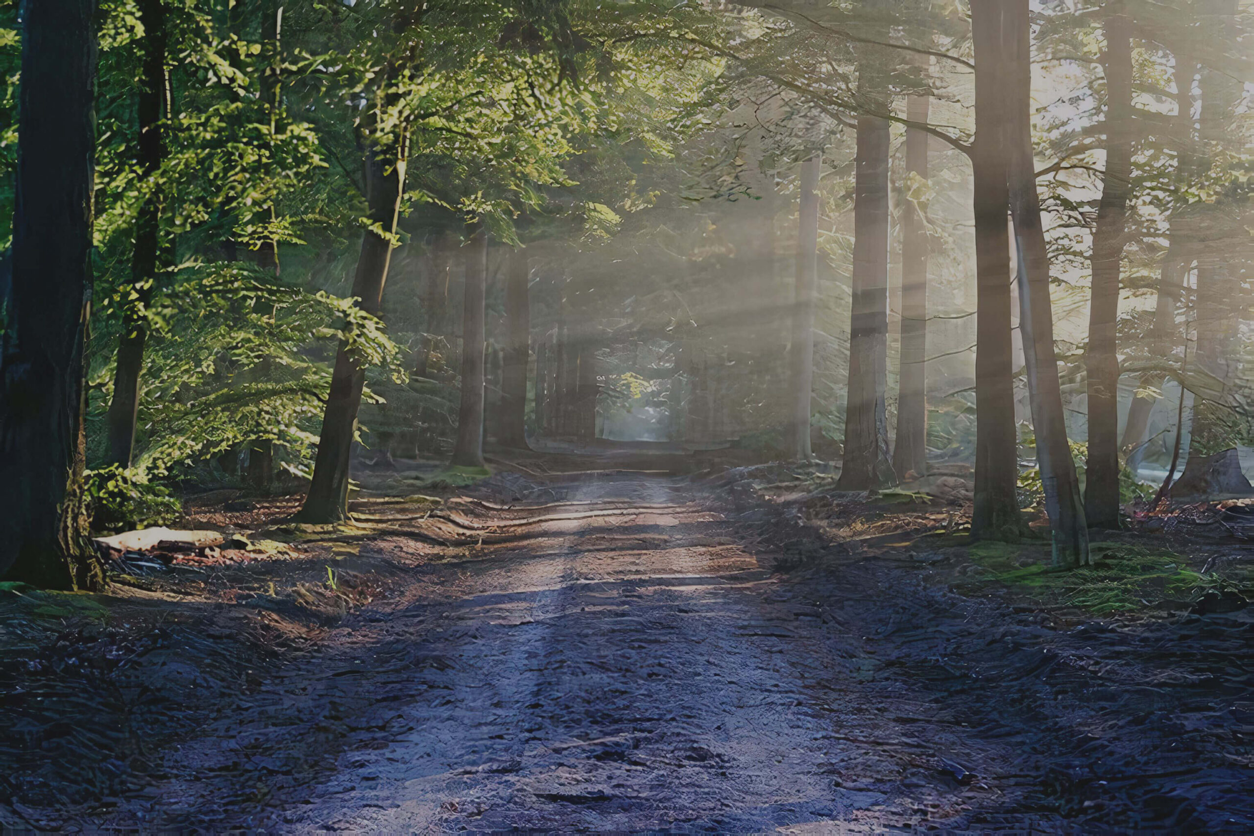 FDICIA Control Identification/Testing Services - Verittas